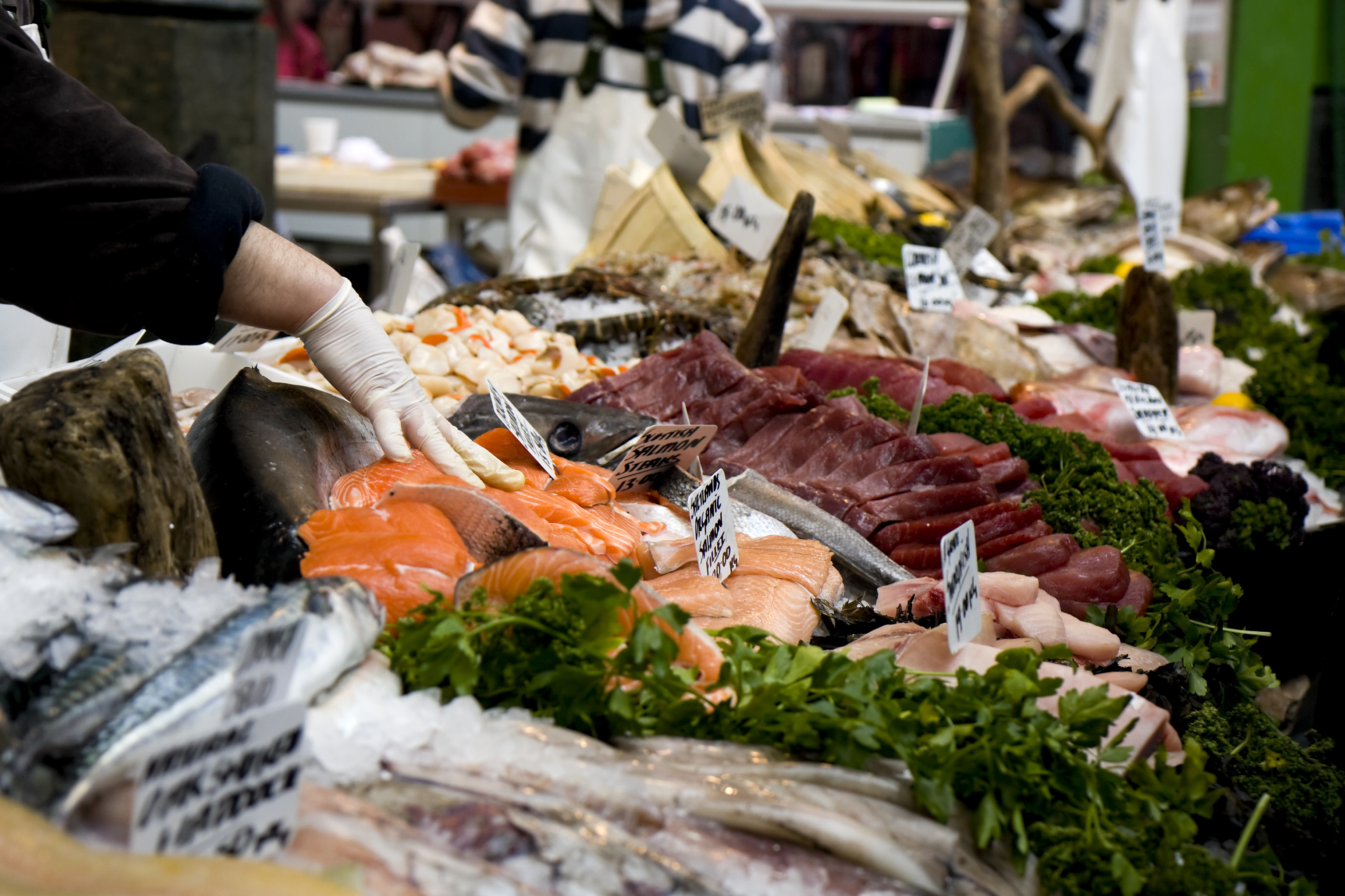 Assises de la pêche - Les jeunes adultes boudent les produits de la mer ...