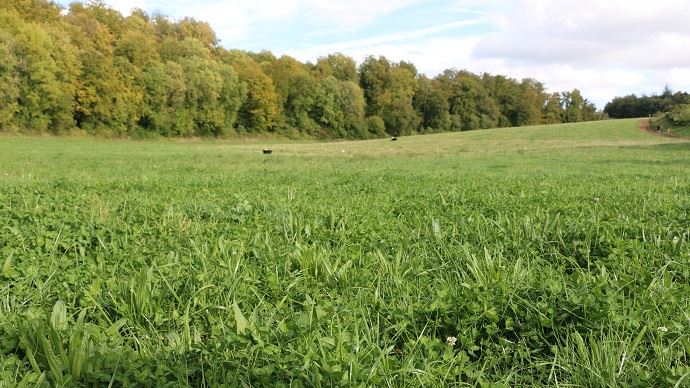 Concevoir et aménager ses prairies en faveur du pâturage tournant ...