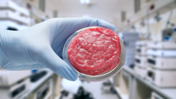 Alternatives à la viande - Premier pas vers la commercialisation de ...