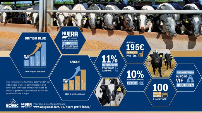 NuEra Profit - Bovec sort un index de croissance et de finition pour le ...