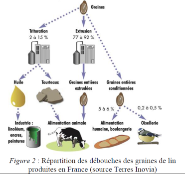 Académie d'Agriculture de France - Le lin oléagineux - Académie d ...