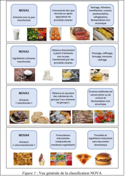 Académie d'Agriculture de France - La classification des aliments, selon leur degré de ...